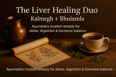The Liver: A Vital Organ for Overall Health – Anantya Healthcare OPC ...