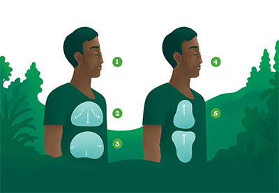 The Role of Deep Breathing in CSF Recycling and Brain Detoxification ...